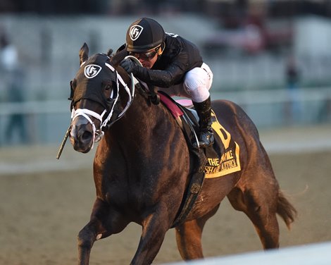 Sharp Azteca Sires First Foal - BloodHorse