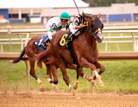 Out of the Gate: Au Revoir - BloodHorse