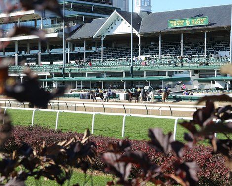 Out of the Gate: Autumn Approaches - TrueNicks.com