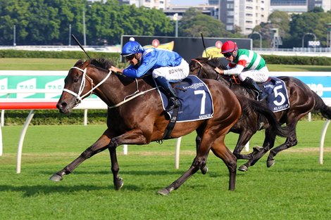 One for Road: Winx Goes Out With 33rd Straight Win - BloodHorse