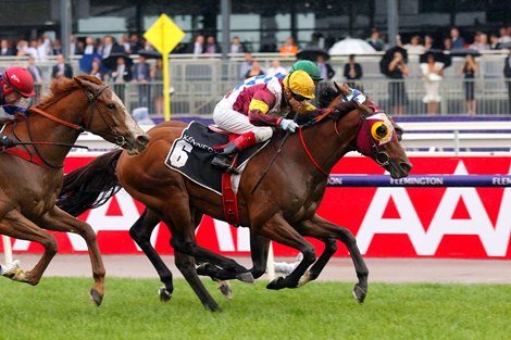 Exceedance Confirms Stallion Value With Coolmore Win - BloodHorse