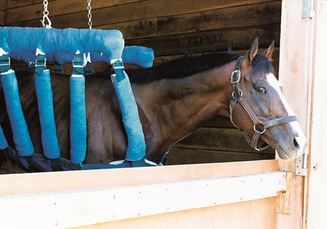 Veterinary Surgeon Thorpe Brought Innovation - BloodHorse