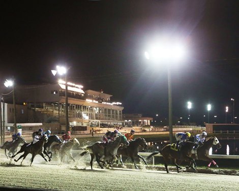 Delta Downs Trying to Light a Way to Safe Night Racing - BloodHorse