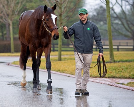 Country Grammer Tops Big Memorial Day for Tonalist - BloodHorse