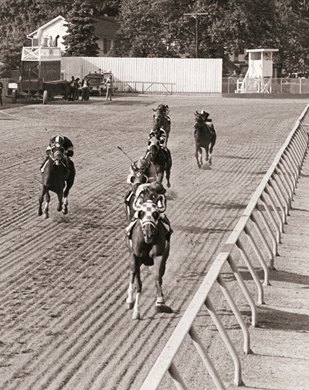 Golden Anniversary: A Second Jewel for Secretariat - TrueNicks.com