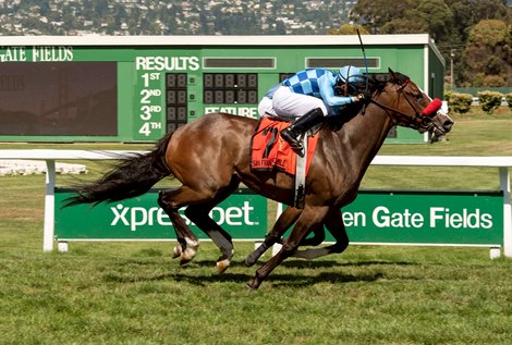 Duggan Guides Golden Gate Through a Challenging Year - BloodHorse