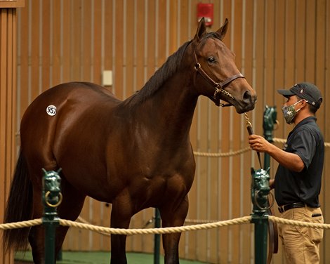 Stonehaven Steadings Scores With Candy Ride Colt - TrueNicks.com