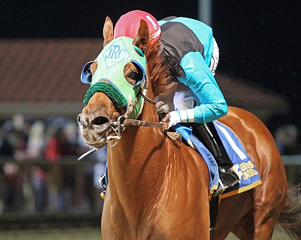 Fiber Sonde Continues to Dominate West Virginia Racing - BloodHorse