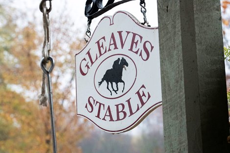 Second of July Fulfills Longshot Breeders' Cup Hopes - TrueNicks.com