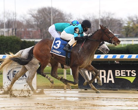 Brooklyn Strong Sets Schwartz on Road to Kentucky Derby - BloodHorse