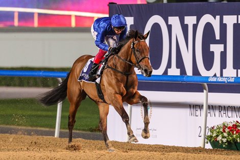 Hot Rod Charlie Preps for Dubai World Cup - BloodHorse