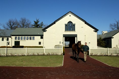 The Life & Times of Malibu Moon - BloodHorse