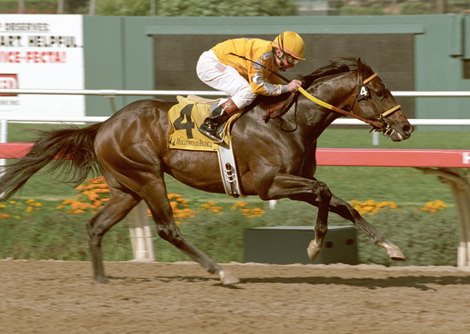Brady's Not the Only Great to Grapple With Goodbye - BloodHorse