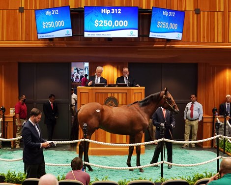 West Buys Four NY-Breds for Repole Stable - BloodHorse