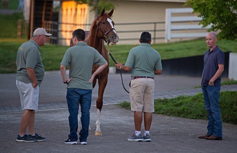Clearsky's Book 1 Draft Something to Talk About - BloodHorse