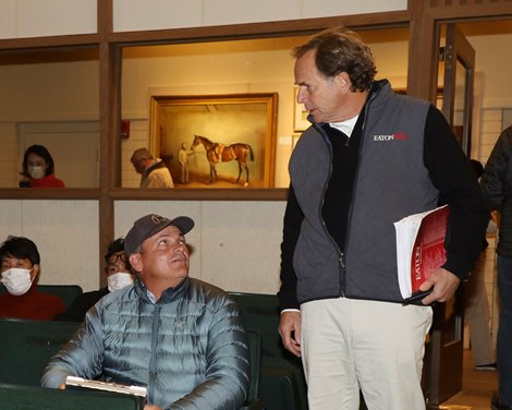 Uncle Mo Colt With Deep Pedigree Sells for $360,000 - BloodHorse