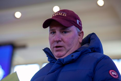 Record-Breaking Trade at Tatts December Yearling Sale - BloodHorse