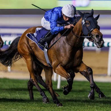 Hot Rod Charlie Hits on All Cylinders in Dubai - BloodHorse
