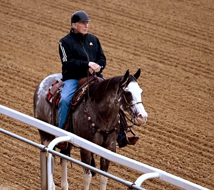 Lukas Helps Holy Cow Stable Climb to New Heights - TrueNicks.com