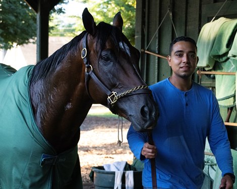 Saratoga Notebook: Nest's Little Brother Can Run Too - BloodHorse