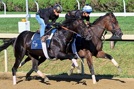 Saratoga Notebook: Echo Again Impresses in Debut - BloodHorse