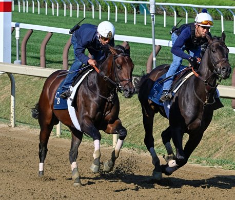 Saratoga Notebook: Echo Again Impresses in Debut - BloodHorse