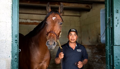 Quality Road Leads Book 1 Sire Standings by Average - TrueNicks.com