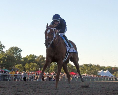 Taiba, Society Lead the Way for Gun Runner - BloodHorse