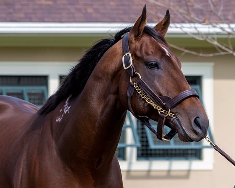 Flightline Sires First Winner: Demian Scores in Japan - BloodHorse
