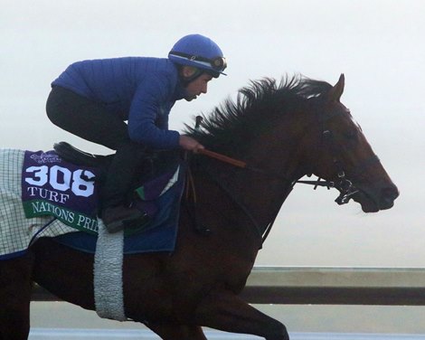 War Like Goddess Takes on Boys Again in BC Turf - BloodHorse