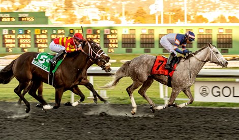 Amidst Derby Craze, Grazen Adds Stakes Winners to Tally - BloodHorse