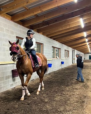 Sibelius Comes 'Alive at the Right Time' for Nash - BloodHorse