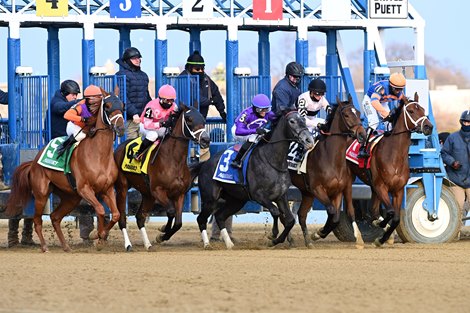 Occult Aces Busanda Stakes Test - BloodHorse