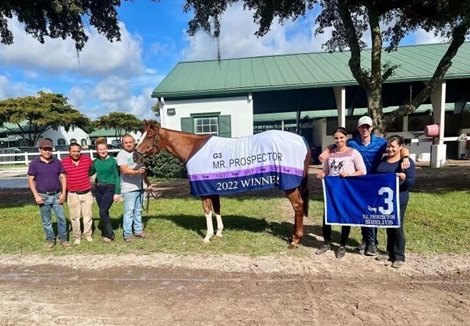 Sibelius Comes 'Alive at the Right Time' for Nash - BloodHorse