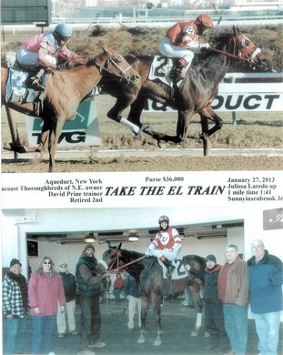 Forma's NY Based Operation a Risk Worth Taking - BloodHorse