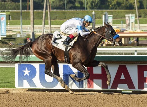 Victory Formation, Curly Jack Top 14-Horse Risen Star - BloodHorse