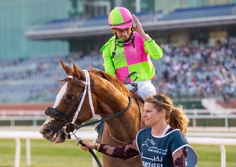 Sibelius Holds off Switzerland in Golden Shaheen - BloodHorse