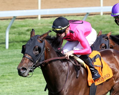 Red Route One Brings Closing Kick to Mineshaft Stakes - BloodHorse