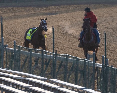 Cyclone Mischief Draws Into Derby Field - BloodHorse