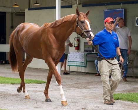 Ennis Back at F-T July with Strongest Consignment Yet - BloodHorse