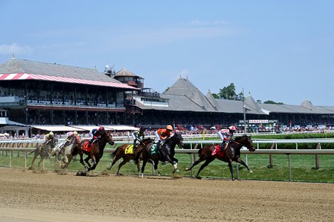 Forte, Mage Contemplate Paths to Travers - BloodHorse