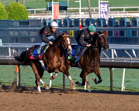 Elite Power, Gunite Continue Rivalry in BC Sprint - BloodHorse