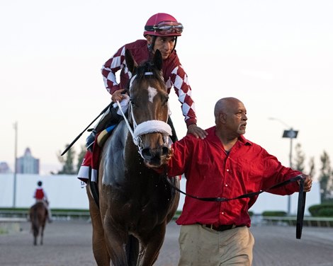 Derby Dozen: Liberal Arts Joins, Track Phantom Departs - BloodHorse