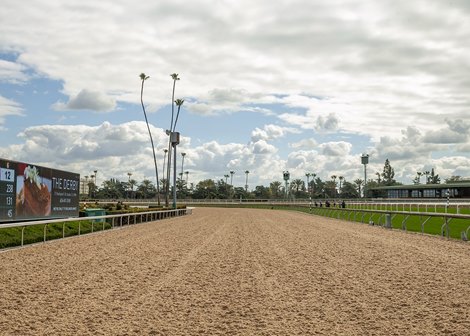 Synthetic Tracks Discussed at Superintendent Conference - BloodHorse