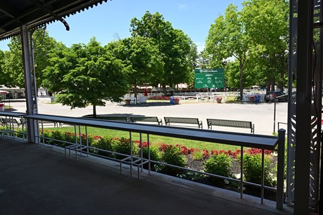 NYRA Unveils Renovations to Saratoga Ahead of Belmont - BloodHorse