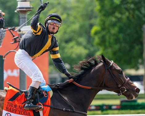 Baby Yoda a Saratoga Force in True North Romp - BloodHorse