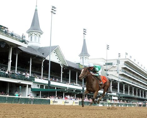 Tommy Jo, Percy's Bar Face Off Again in Alcibiades - BloodHorse