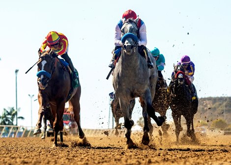 Desert Gate Heads Baffert Quartet in American Pharoah - BloodHorse