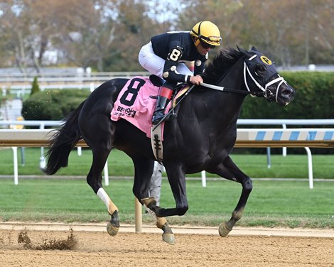 Cox Looks for Back-to-Back Wins in Golden Rod Stakes - BloodHorse